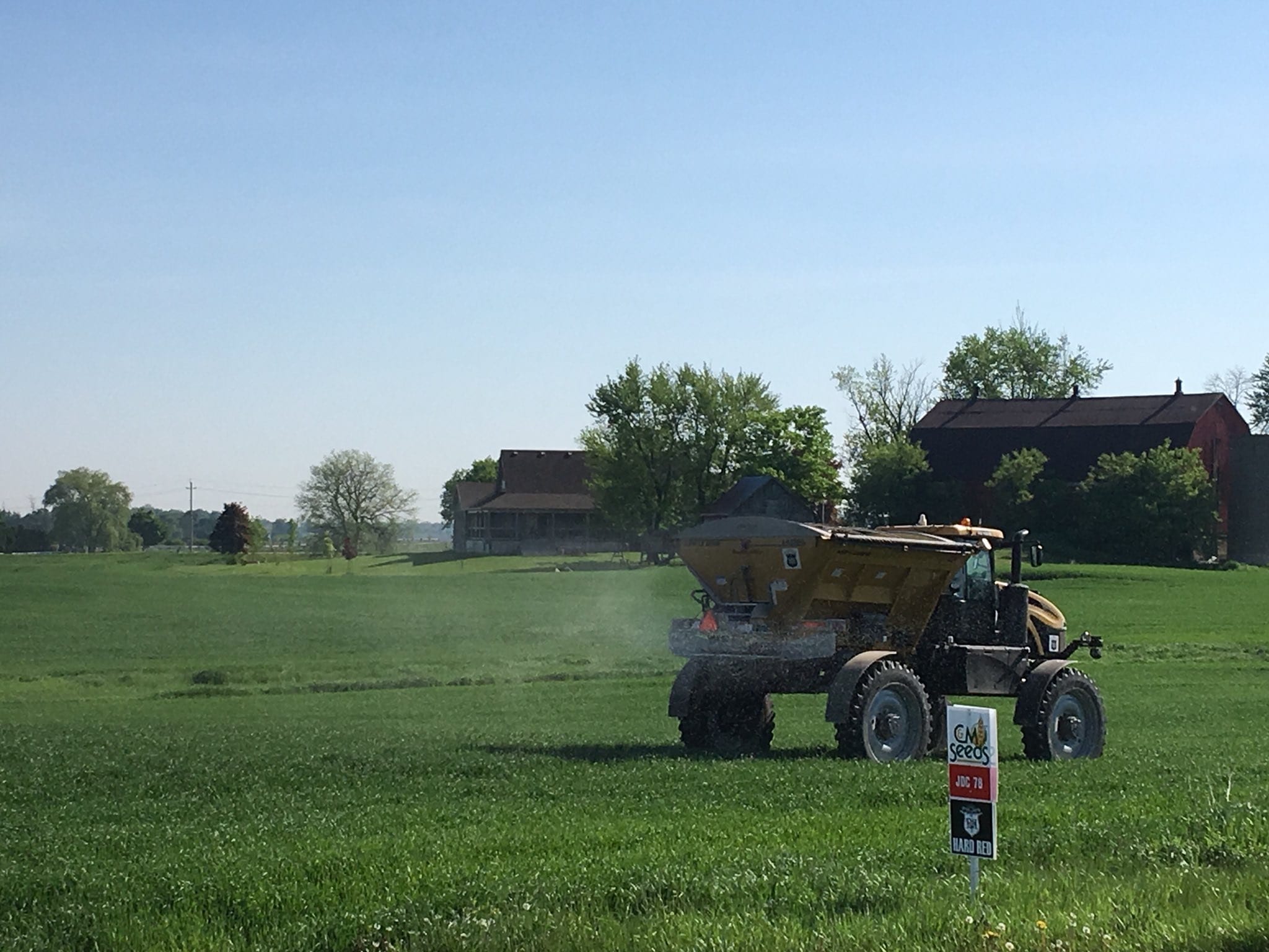 Hard Red Wheat getting Paid for Protein - C&M Seeds